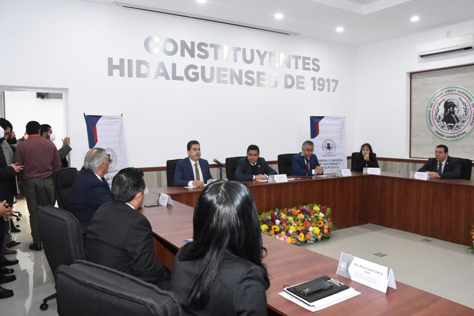 Analiza ASEH y Congreso 81 Leyes de Ingresos - Diario Vía Libre