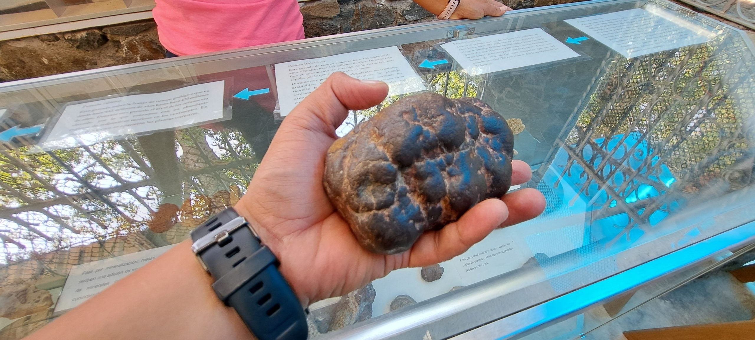 Museo de Tula exhibe huevos de dinosaurio - Diario Vía Libre