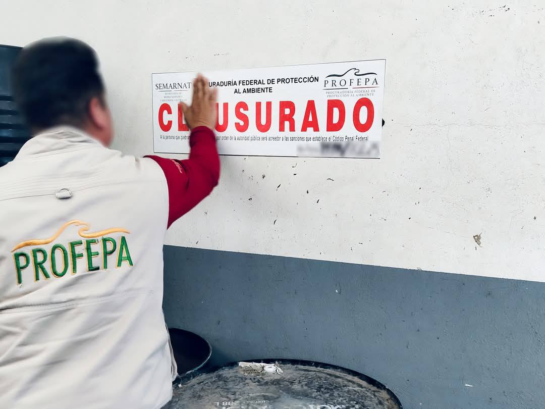 Profepa clausura empresa por mal manejo de residuos - Diario Vía Libre