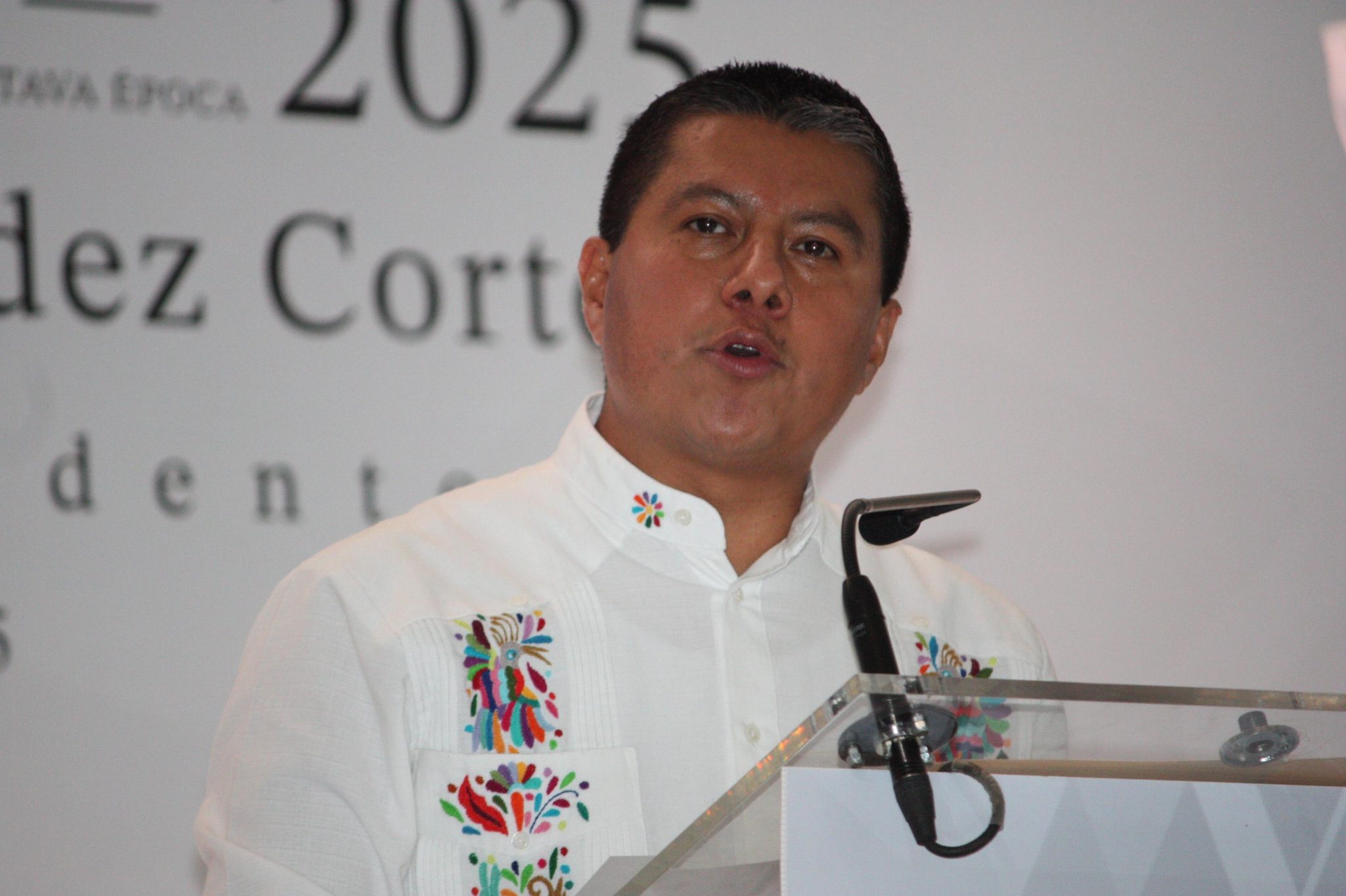 Presidente del TEEH a favor de plurinominales - Diario Vía Libre