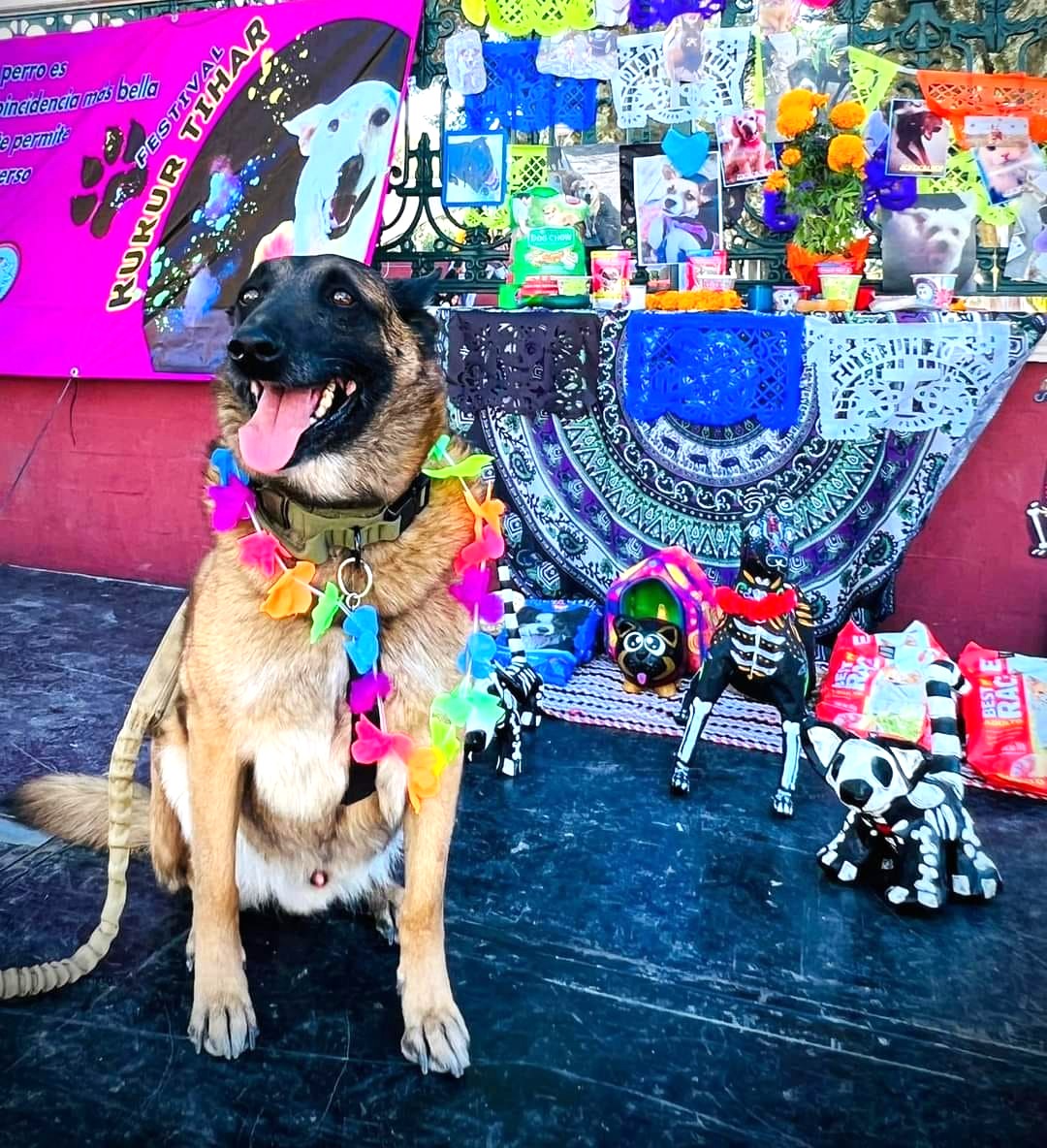 Evento con causa en El Real, el domingo - Diario Vía Libre